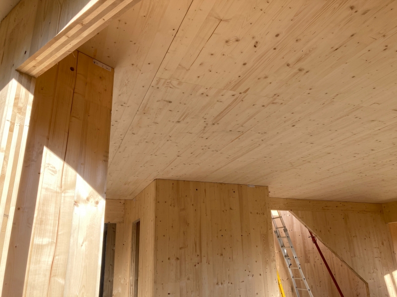 CLT - Dender Construct