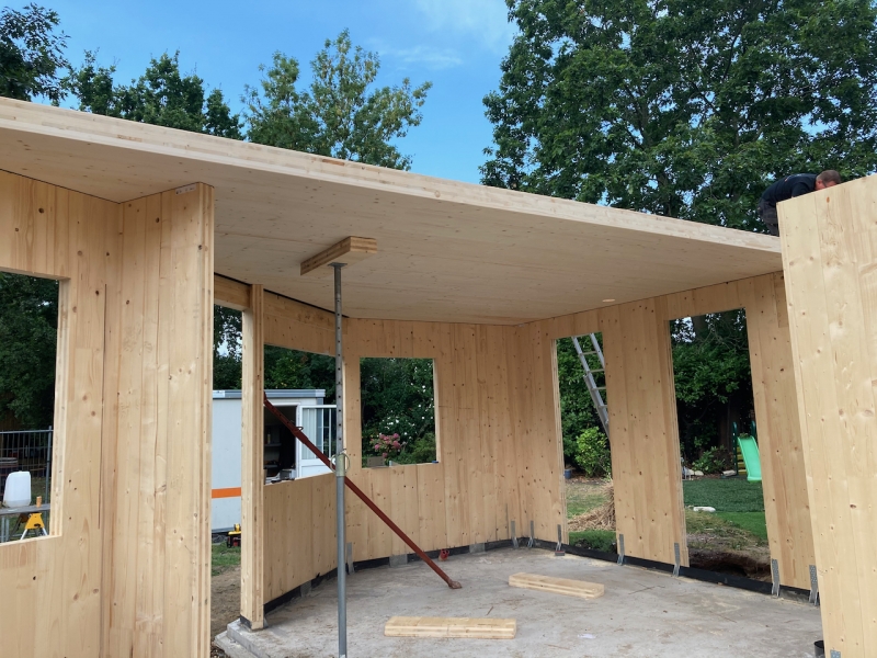 CLT - Dender Construct